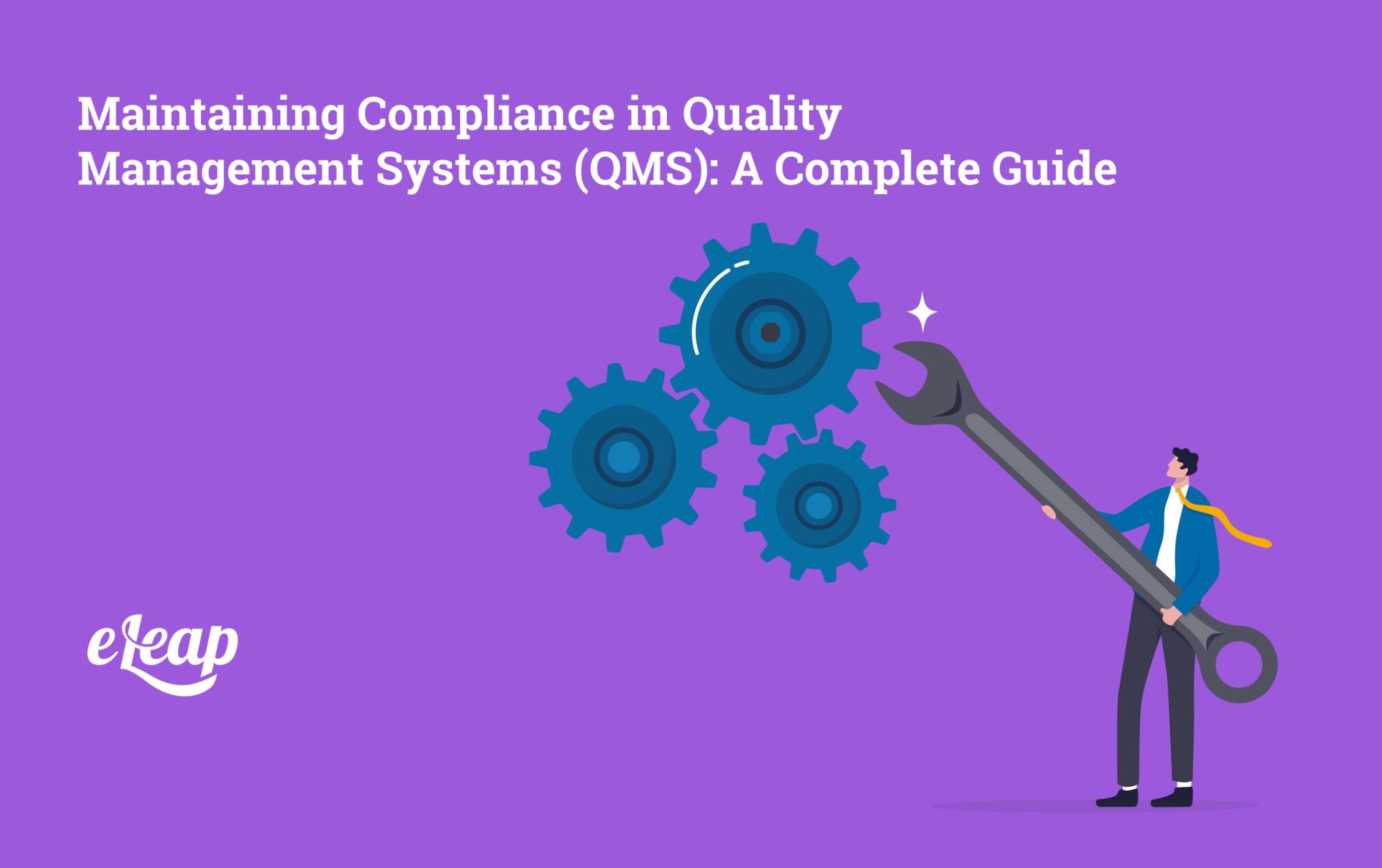 Maintaining Compliance in Quality Management Systems (QMS): A Complete Guide - eLeaP®